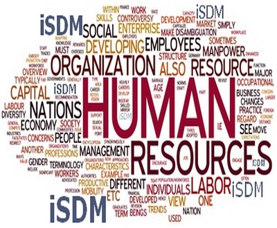 iSDM Consulting